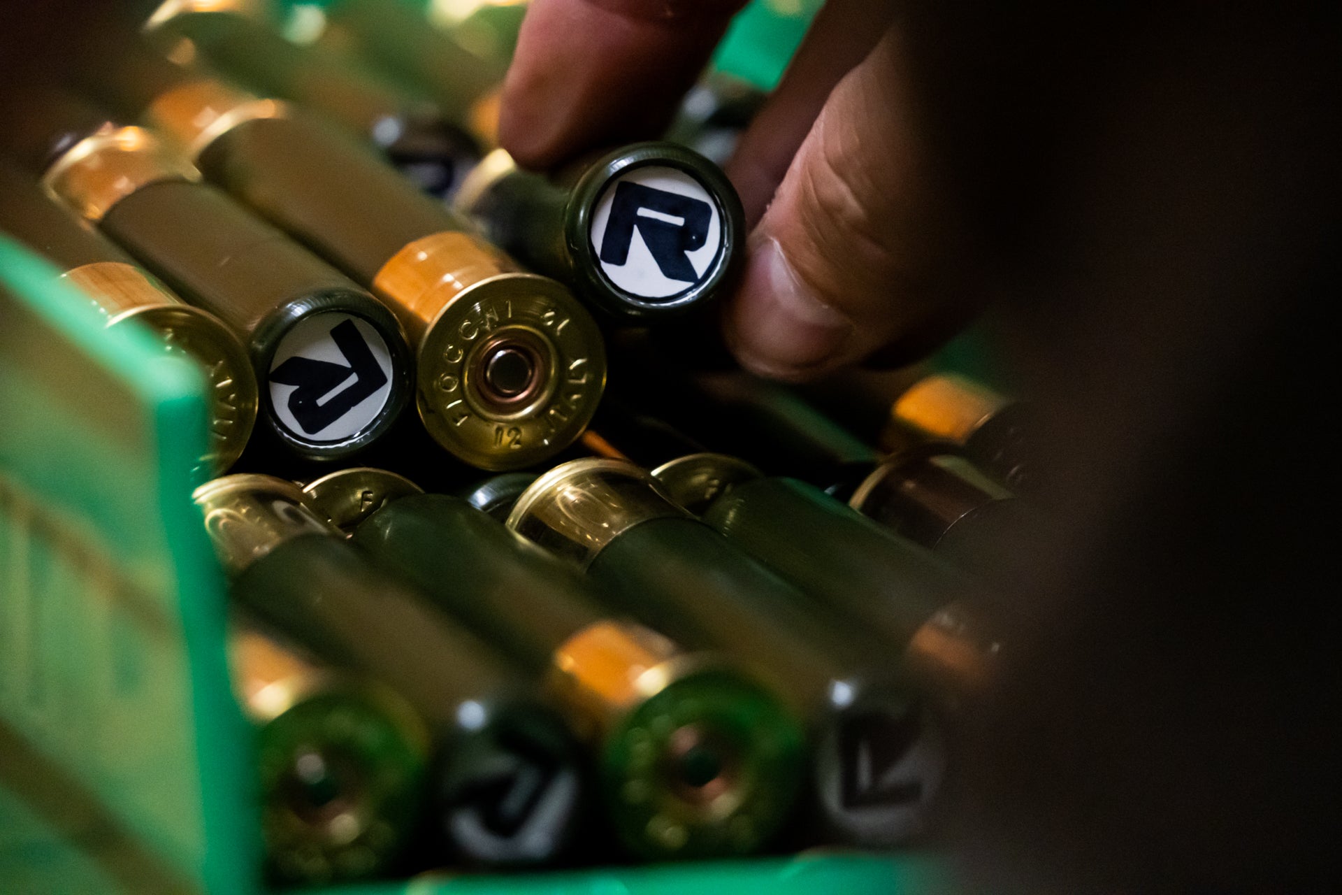 ALL SHOTSHELLS